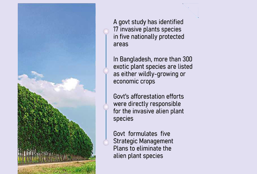 Invasive foreign plants a threat to flora reserves | The Financial Express