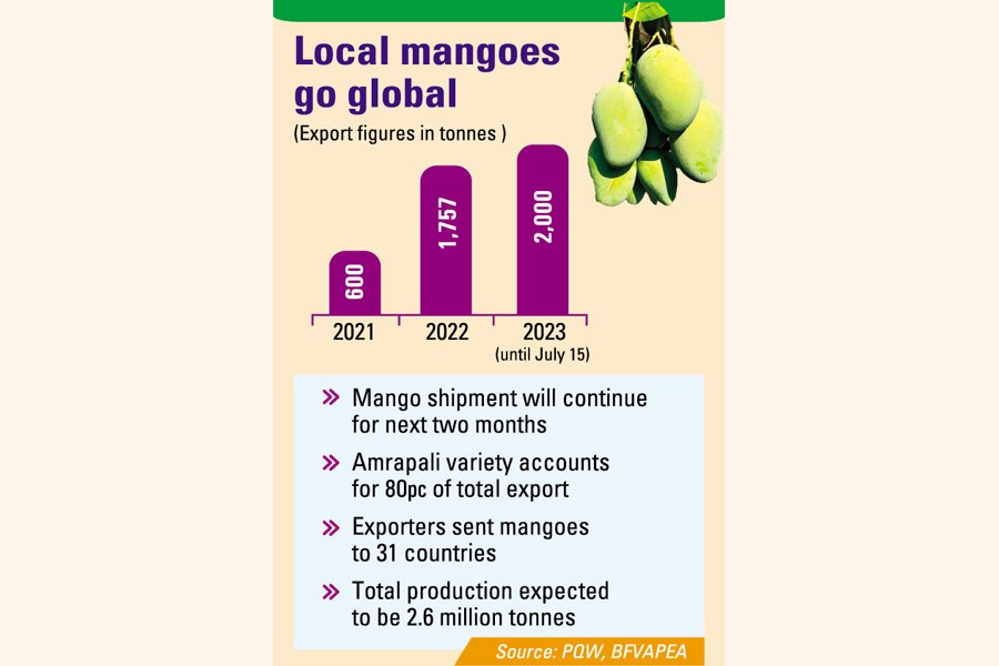 Mango exports hit all-time high | The Financial Express