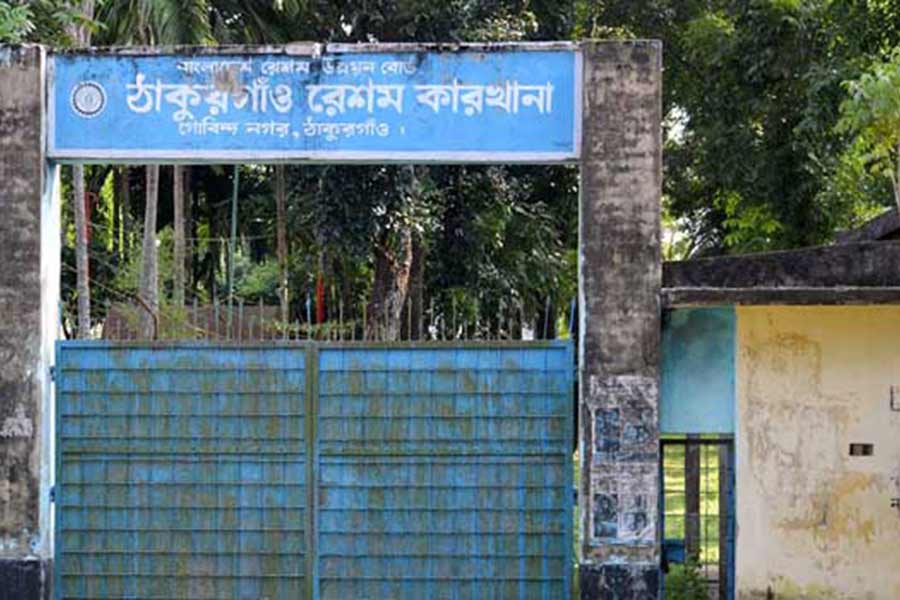 Thakurgaon silk factory set to resume production after 21 years | The Financial Express