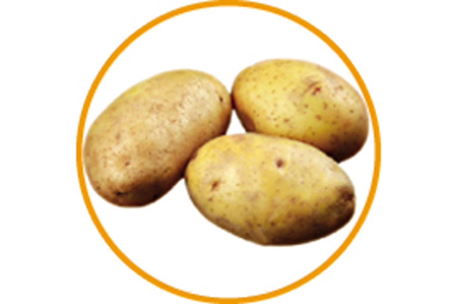 Intriguing price spiral of potato | The Financial Express