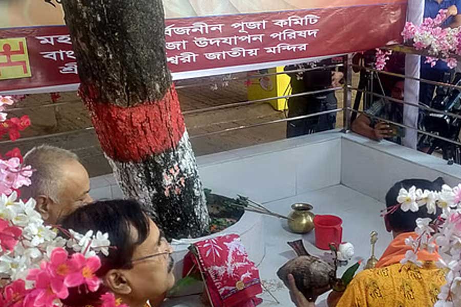 Durga Puja celebrations begin across country | The Financial Express