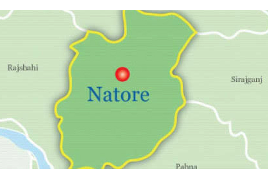 Mother, son sentenced to life for wife's murder in Natore | The Financial Express