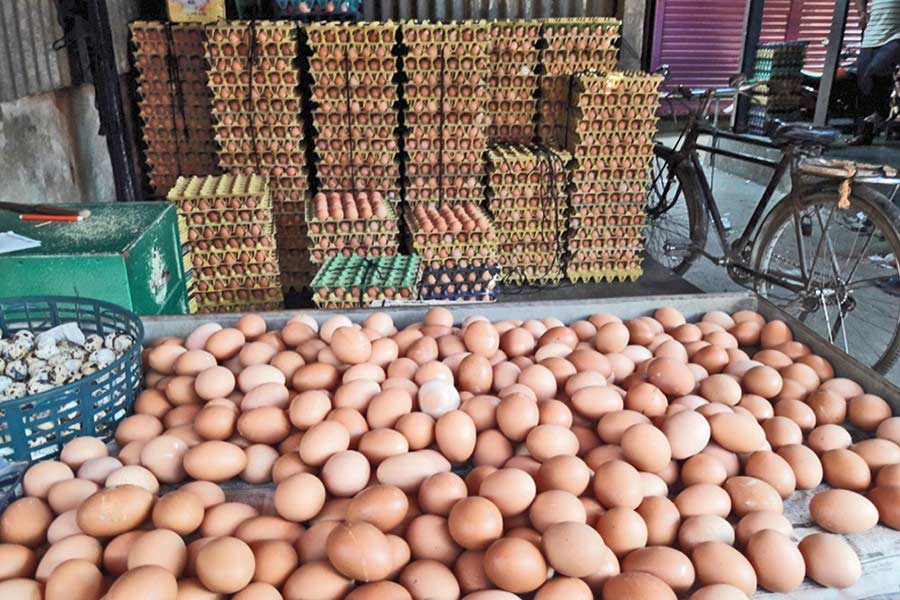 Govt allows 10 more firms to import 50m eggs | The Financial Express