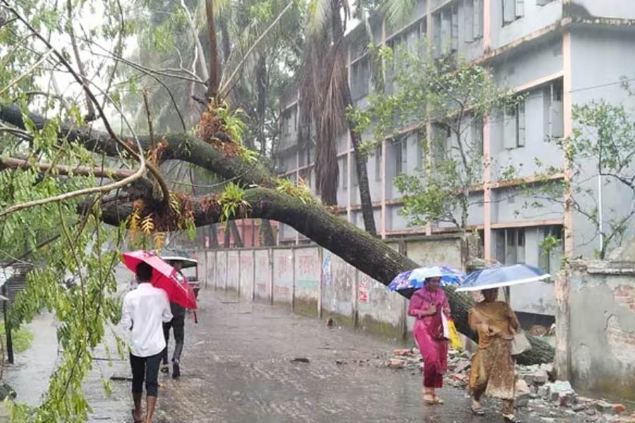 Seven dead, crops damaged as Cyclone Midhili lashes Bangladesh | The ...