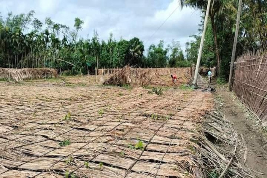 Cyclone Midhili wrecks havoc in Cox's Bazar | The Financial Express