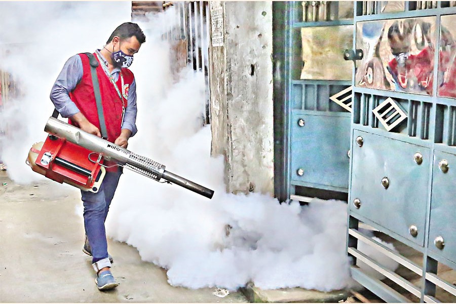 Round the year awareness against dengue needed | The Financial Express