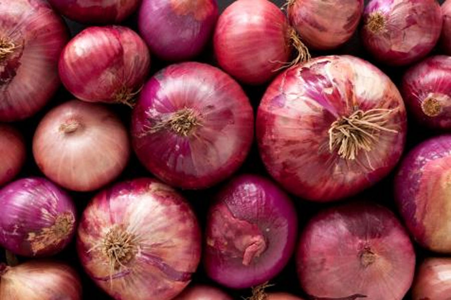 Govt to import 52,000 tonnes of onion | The Financial Express