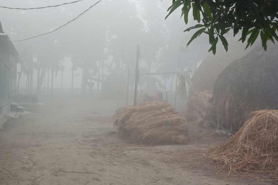 Mild cold wave to continue | The Financial Express