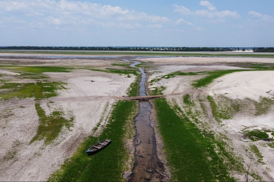 Amazon rainforest drought going unnoticed | The Financial Express