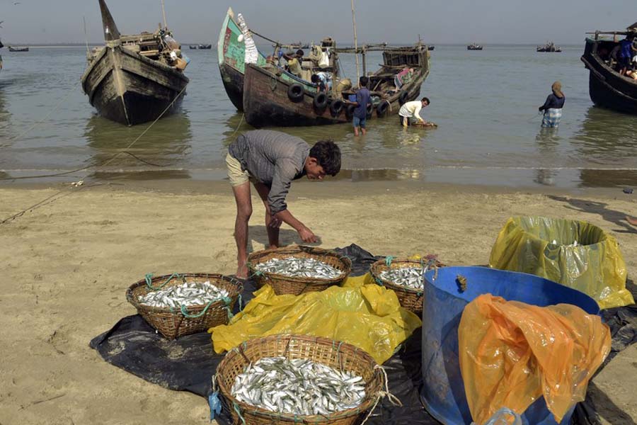 Jica, BFDC to modernise fish landing center in Cox's Bazar | The ...