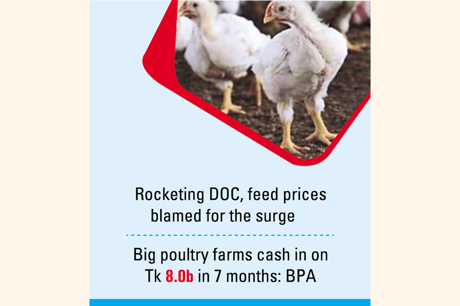 Broiler chickens hit Tk 250 per kg before Eid | The Financial Express