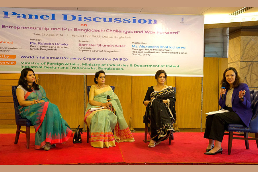 'Using IP as collateral for financing requires awareness, strategic ...