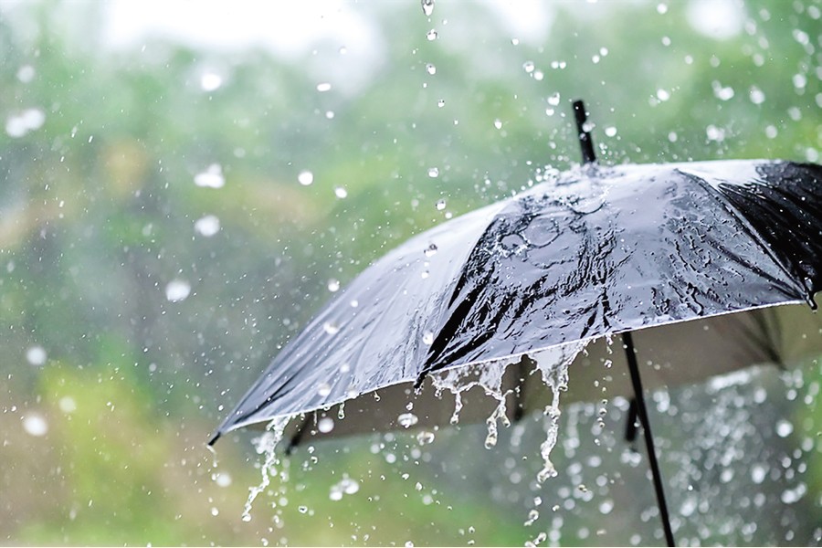 Rains transform weather beyond recognition | The Financial Express