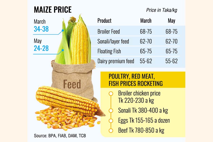 Feed prices remain high despite record maize harvest, low rates | The ...
