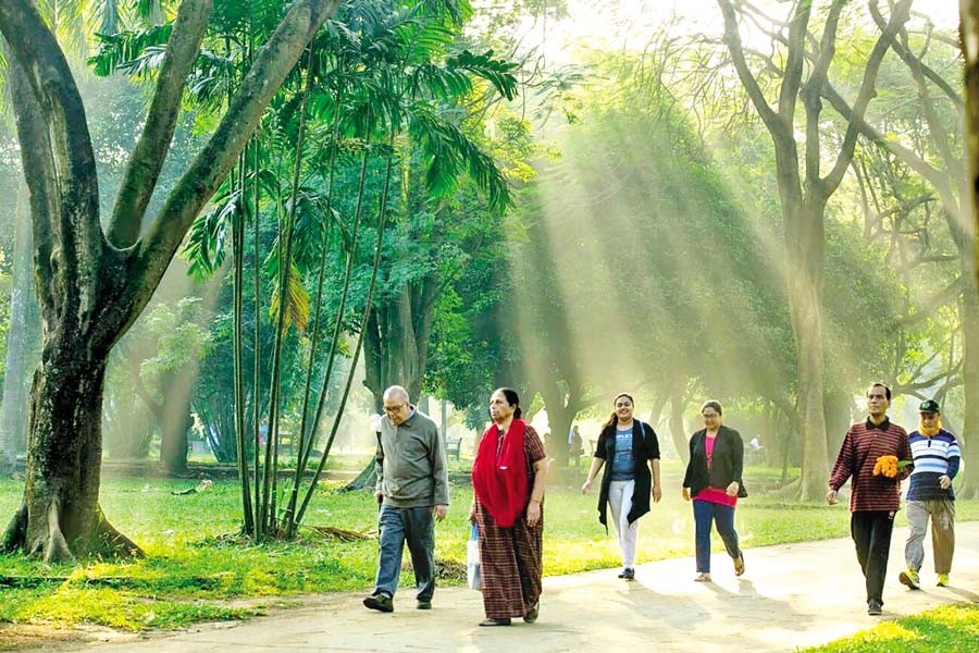 Health benefits of regular walking habit | The Financial Express