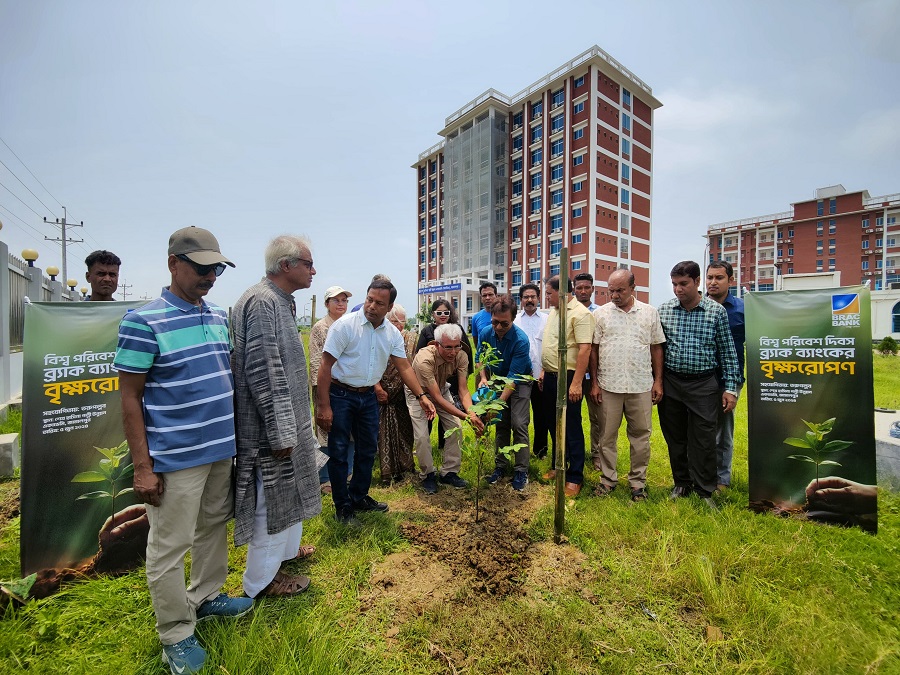 BRAC Bank plants 3,000 trees on World Environment Day | The Financial ...