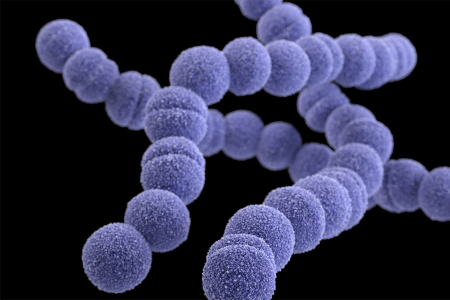 Rare tissue-damaging bacteria spreads in Japan | The Financial Express