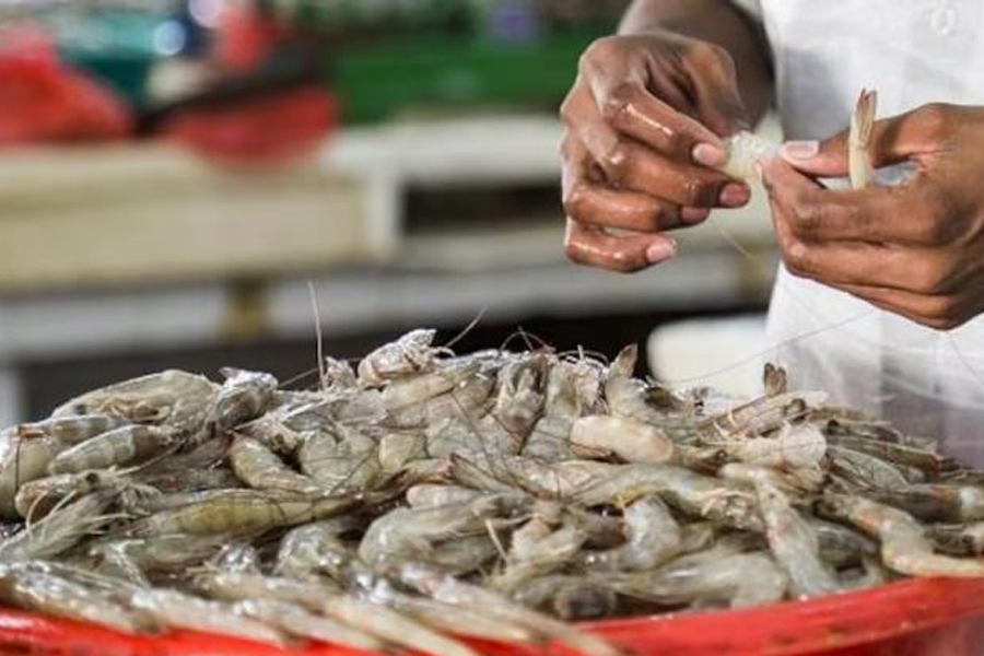 India's seafood exports grew over 30pc in five years | The Financial ...