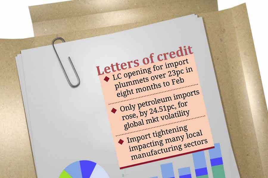 LC restriction squeezes imports, slows economy | The Financial Express