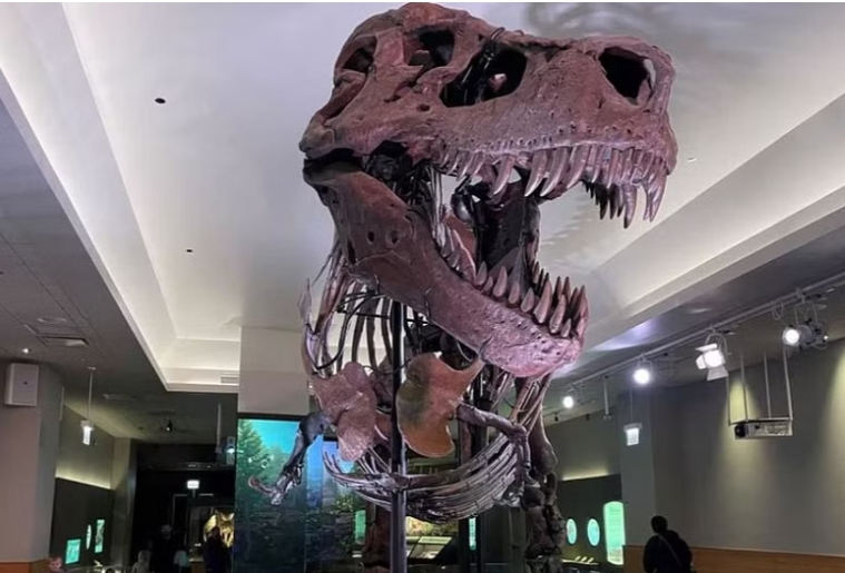 For T rex and kin, it was a stiff upper lip, not a toothy grin | The ...