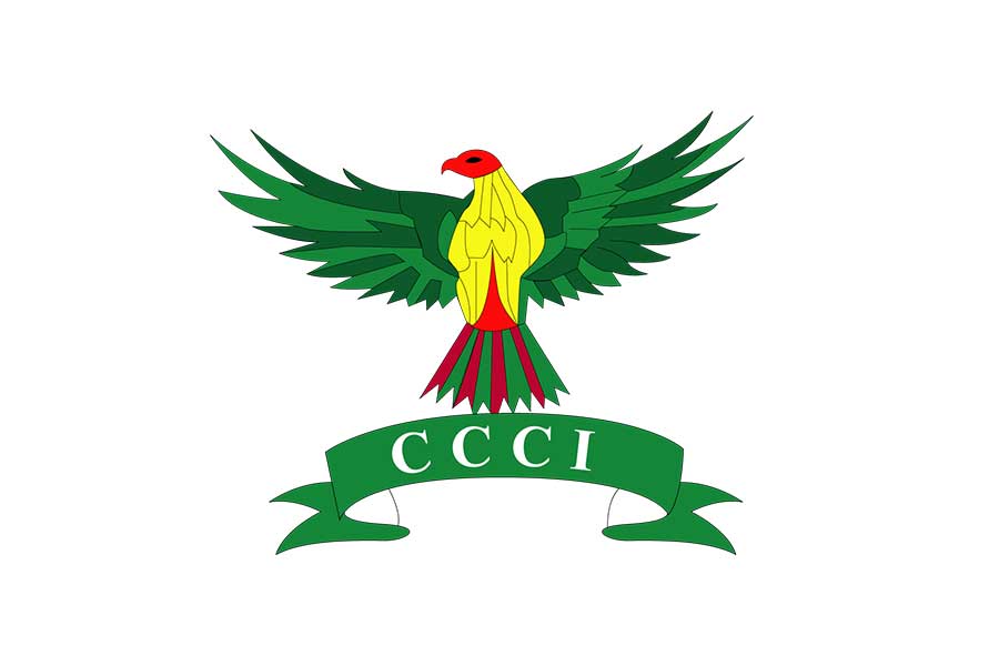 Govt appoints administrator for CCCI | The Financial Express