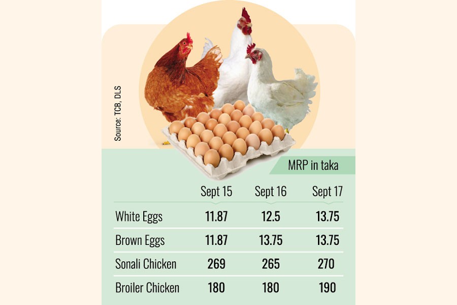 Egg, chicken prices defy govt-set rates | The Financial Express