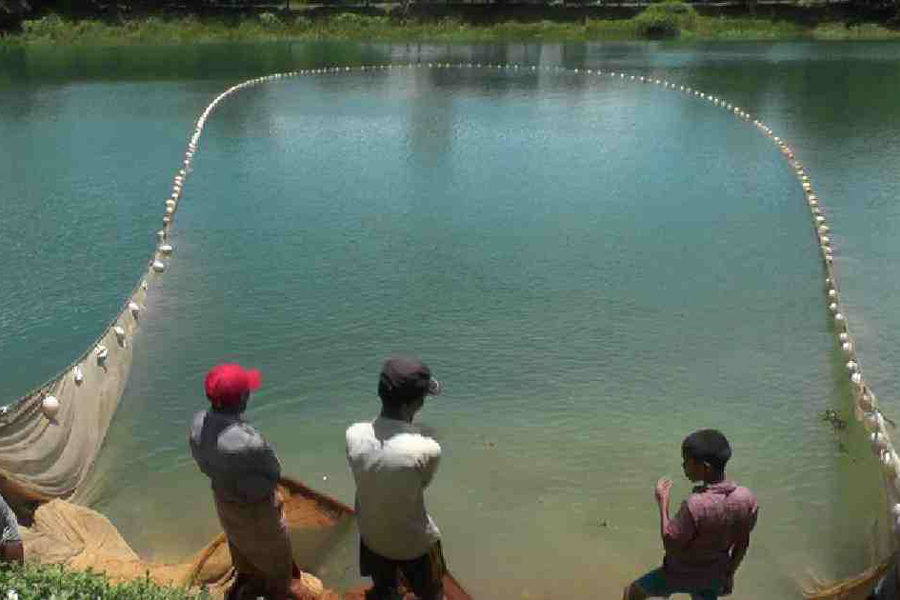 Fishing in Kaptai Lake banned for 3 months | The Financial Express