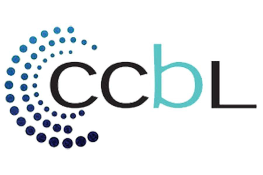 DSE voices concerns over CCBL procurements ahead of operations launch ...