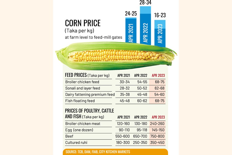 Three-year-low corn prices fail to calm volatile feed market | The ...