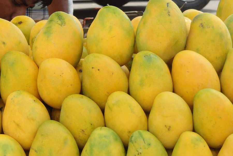 Mango export begins with 10 tonnes to 4 countries | The Financial Express