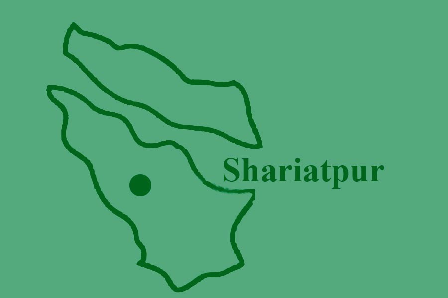Two minor siblings die in Shariatpur fire | The Financial Express