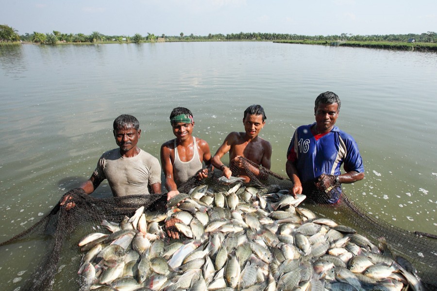 Bangladesh tops as third fish producing country: FAO | The Financial ...