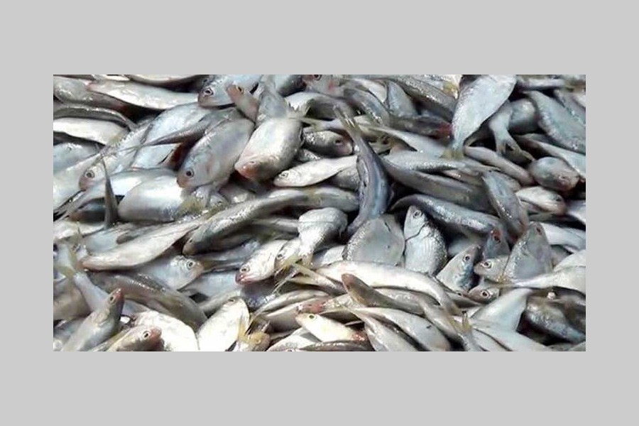 Jatka conservation week starts on Mar 16 | The Financial Express