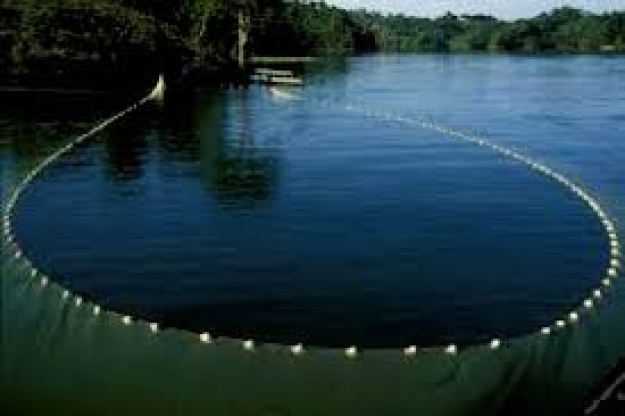 Saving the fish resources of Kaptai Lake | The Financial Express