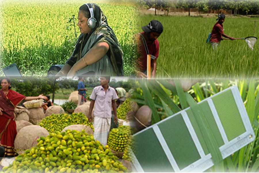 Agro-food processing industry in Bangladesh: An overview | The ...