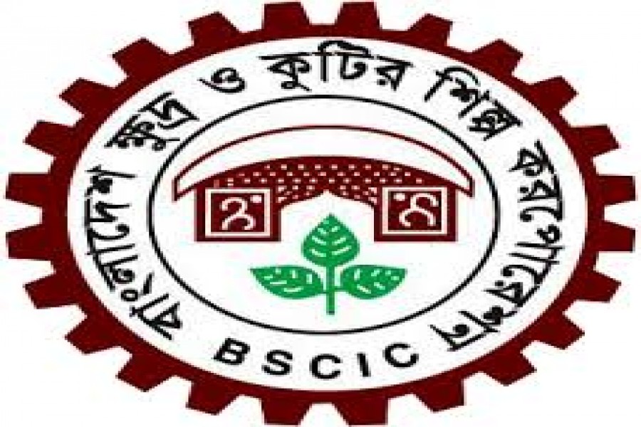 BSCIC industry owners seek special consideration | The Financial Express