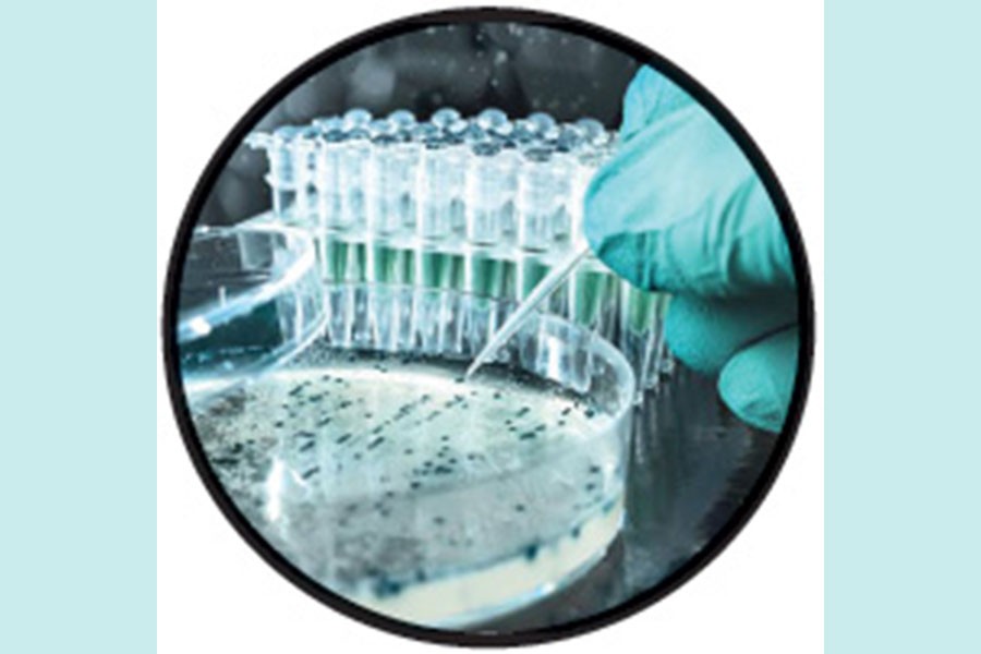 Pathogen-control lesson for Bangladesh | The Financial Express