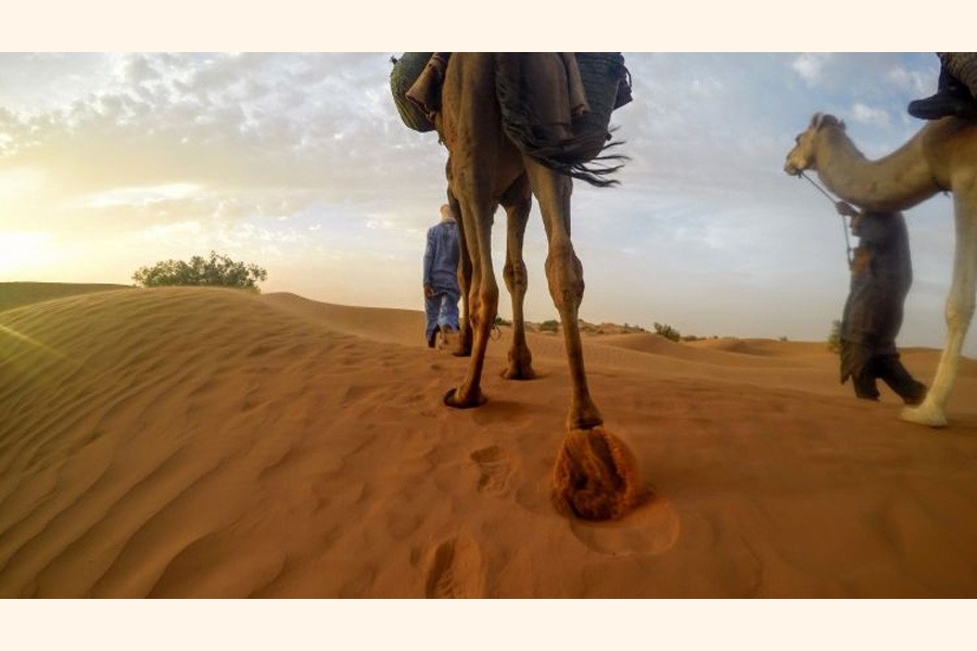 Of deserts, their impacts on human life | The Financial Express
