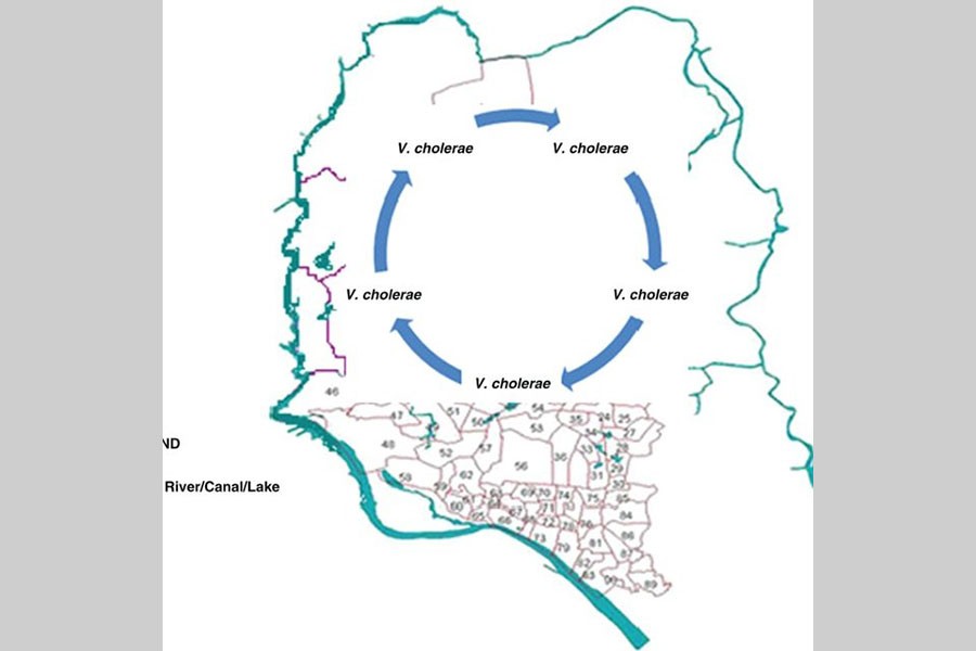 Reviving circular water route | The Financial Express