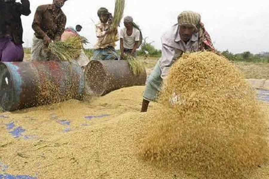 The confusion about self-sufficiency in food grains | The Financial Express