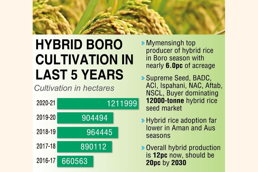 Study shows hybrid rice acreage doubles in five years | The Financial ...