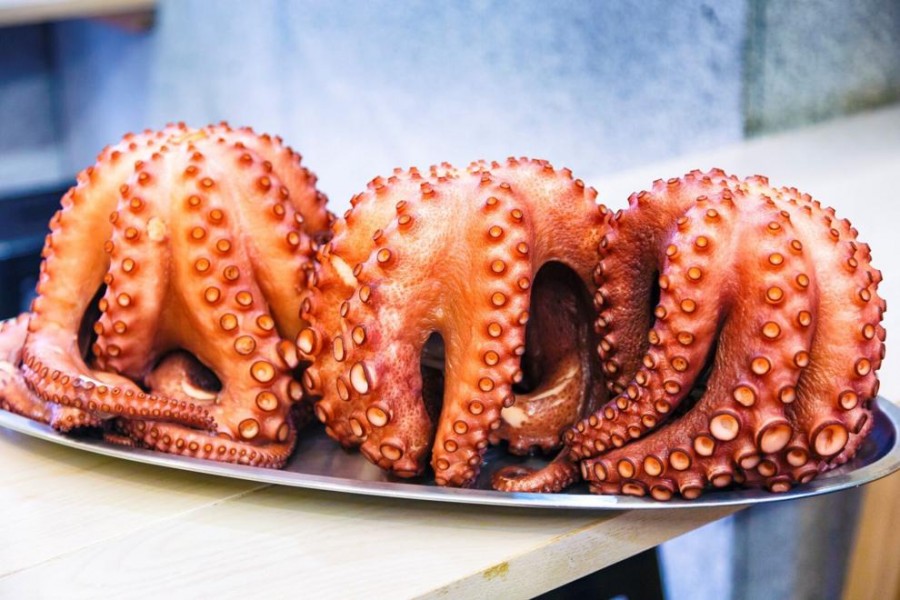 World's first octopus farm stirs ethical debate | The Financial Express