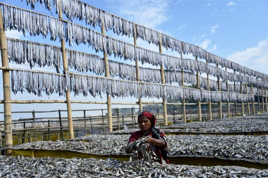 Dried fish processing plant -- a belated but important move | The ...