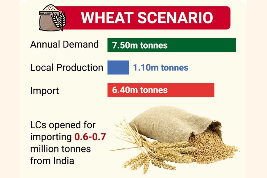 India seeks shipment status against LCs already opened | The Financial ...