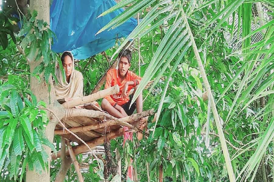 Orphan siblings spend 17 days on a tree as flood washes away their ...