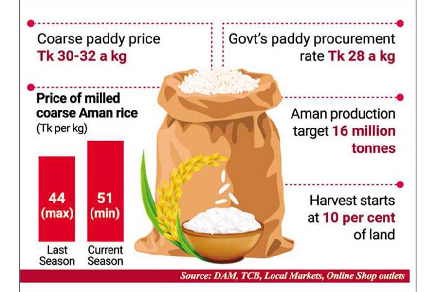 Paddy price stays at peak even amid Aman harvest | The Financial Express
